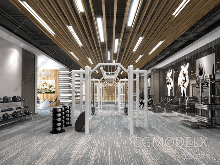 Modern Gym 3D model - The Gym | CGmodelX
