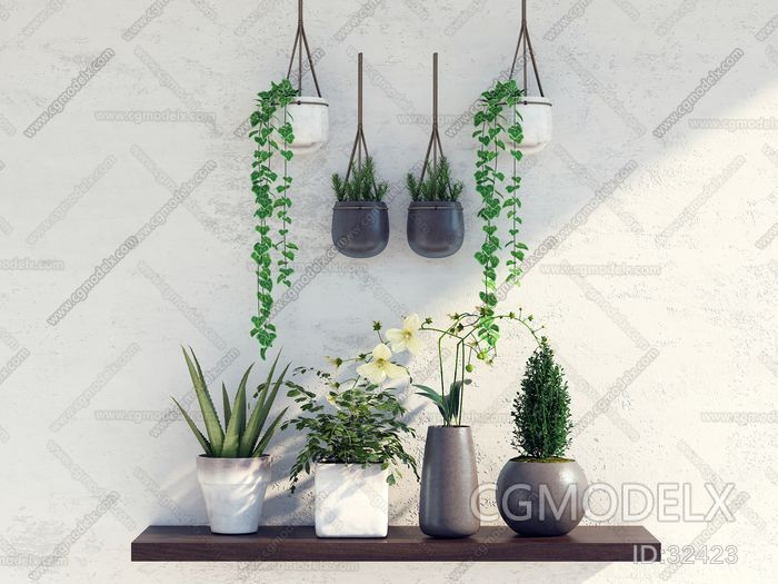 Modern Potted Landscape 3D model - Potted Bonsai | CGmodelX