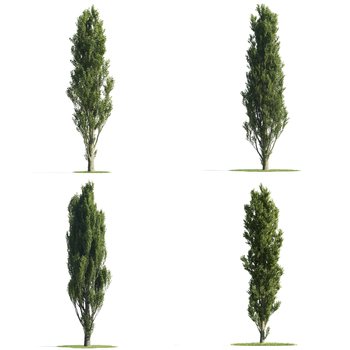 Modern Plants And Trees 3D model [ID:32121]